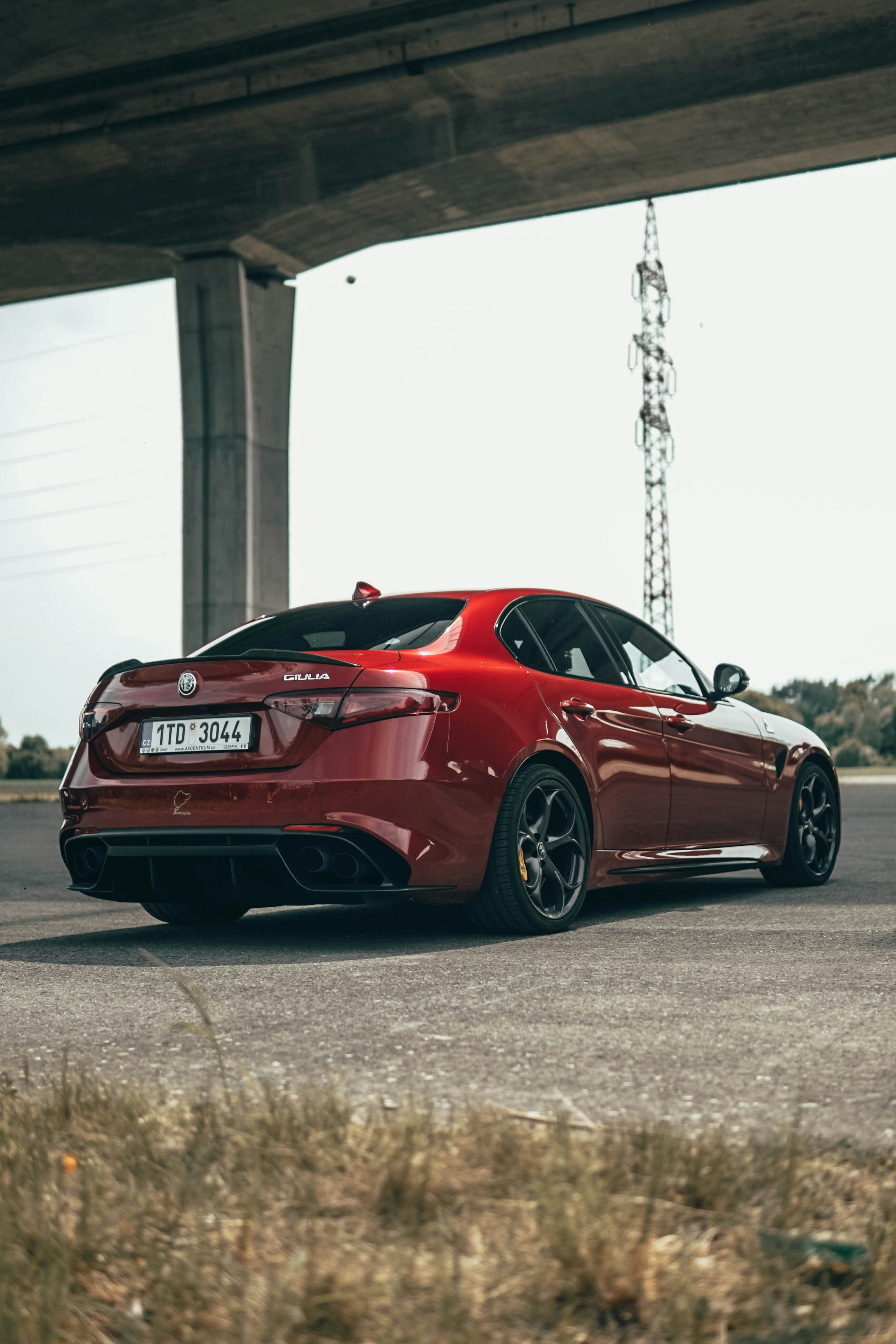 Alfa Romeo giulia GTAm